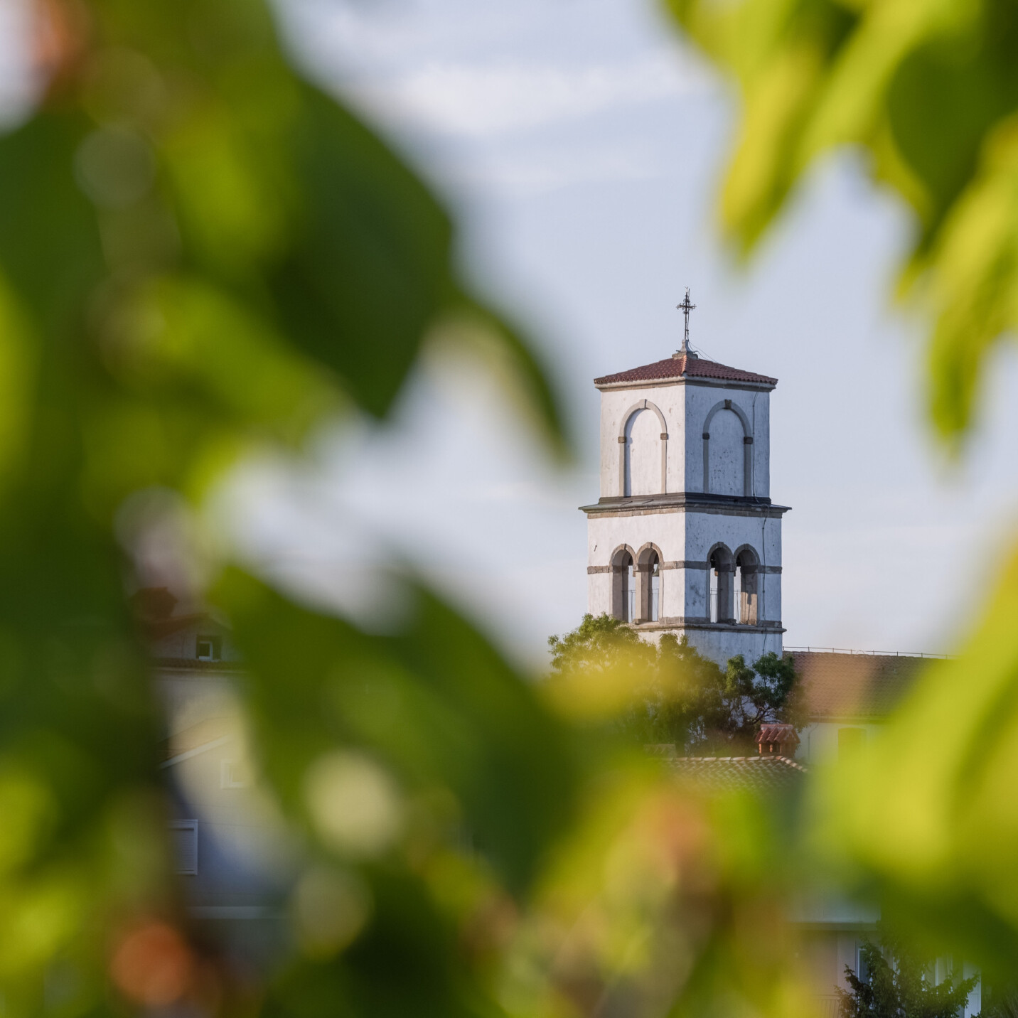 What to do | Izola