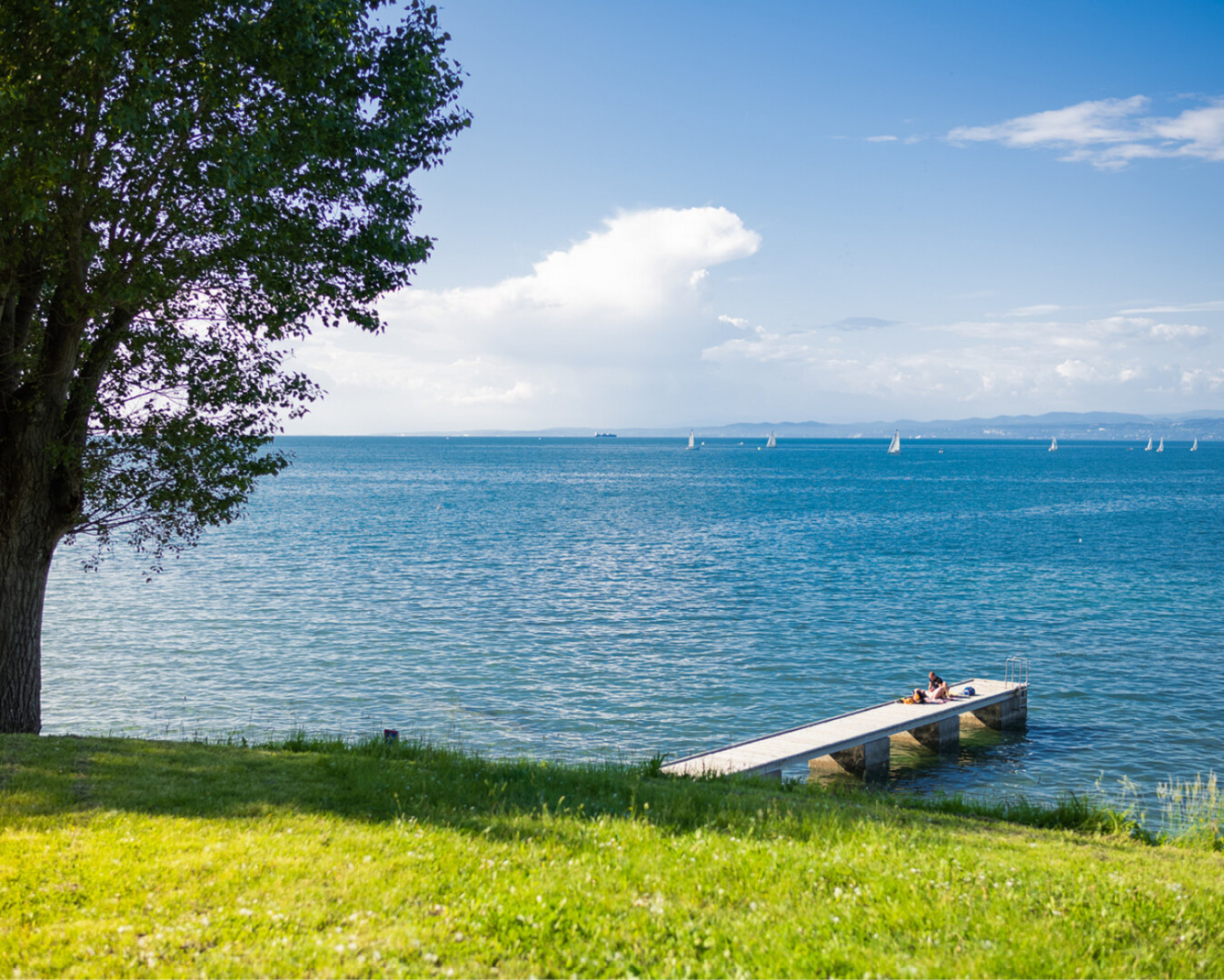 Diverse Izola beaches | Izola